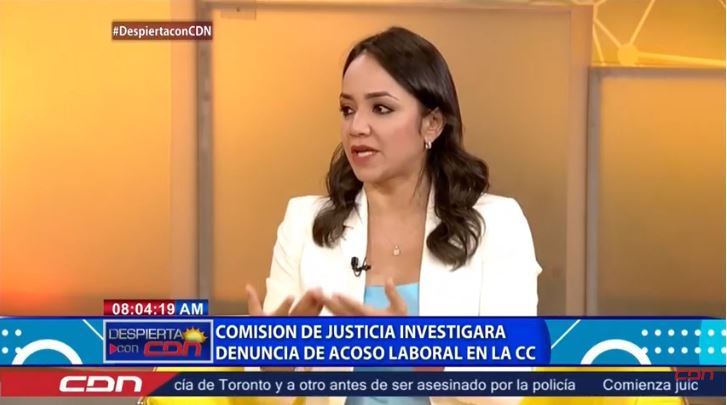 Entrevista a Faride Raful, Senadora del Distrito Nacional por el PRM