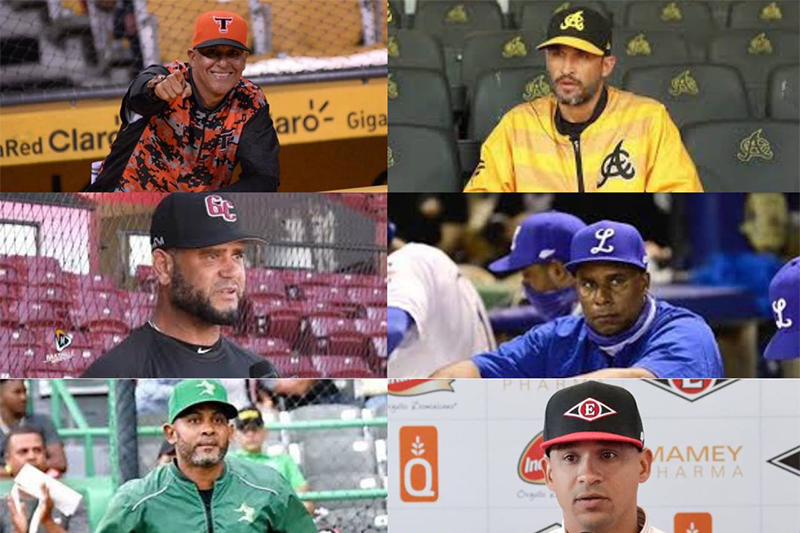 Conozca los seis dirigentes para la próxima temporada de LIDOM