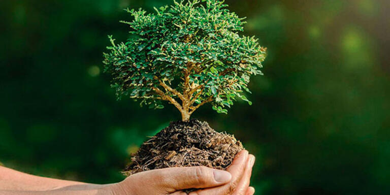 Hoy es Día Mundial de Protección de la Naturaleza