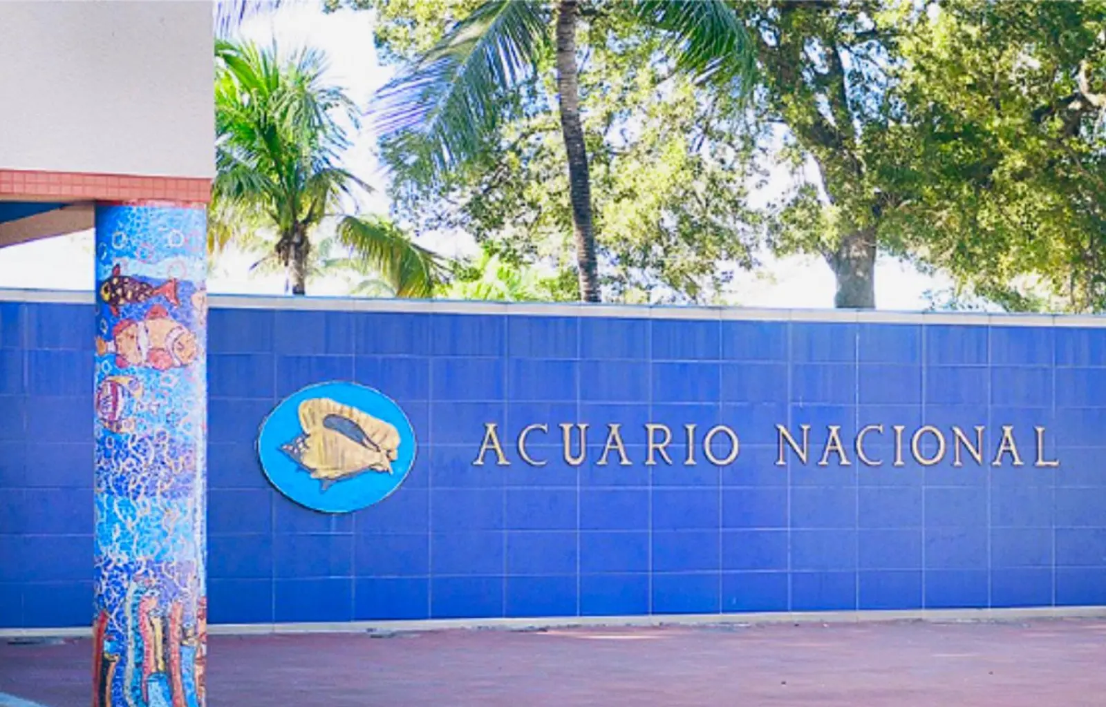Acuario Nacional estará cerrado por remozamiento
