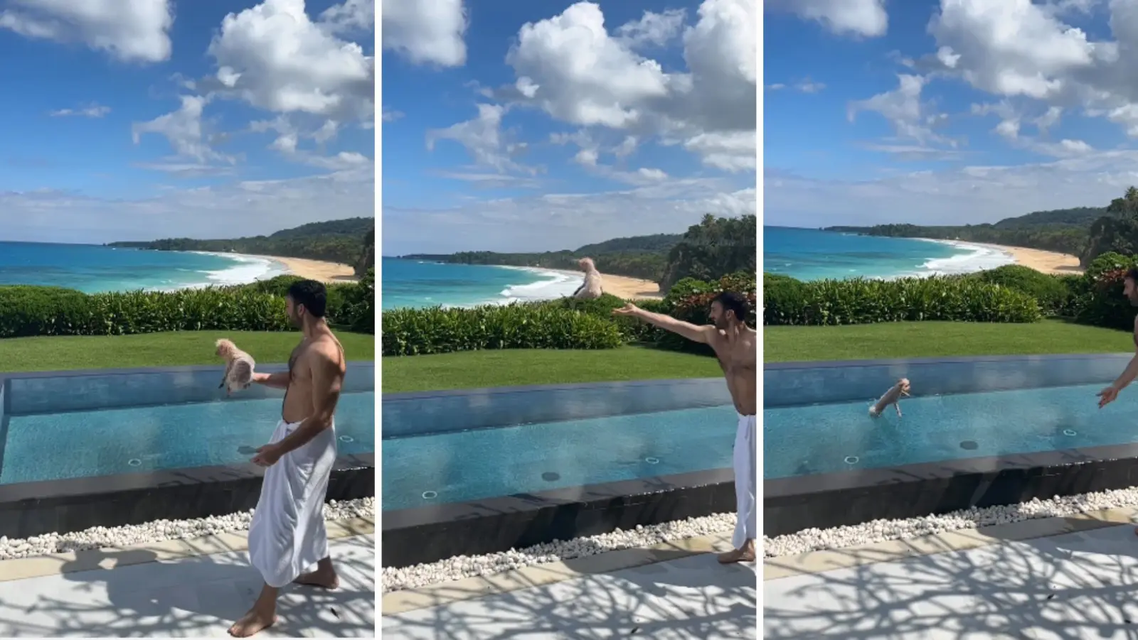 Fedda condena y califica de maltrato animal acción Karim