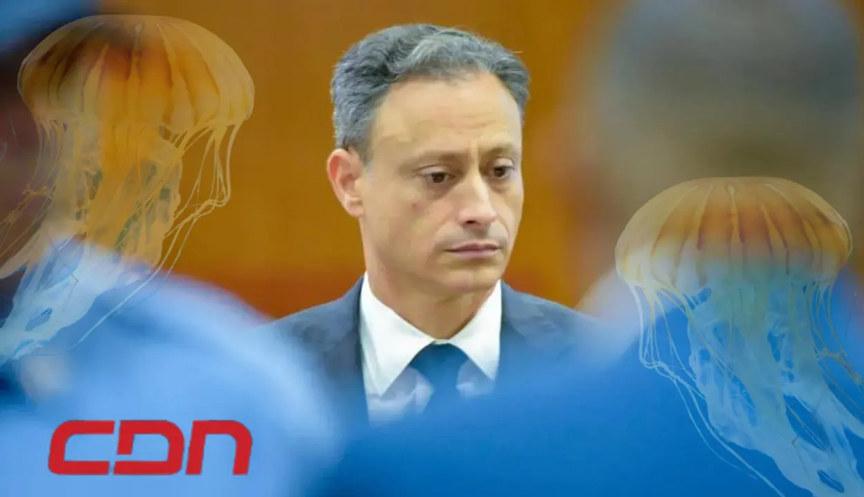 Ministerio Público Defensa De Jean Alain Rodríguez Miente