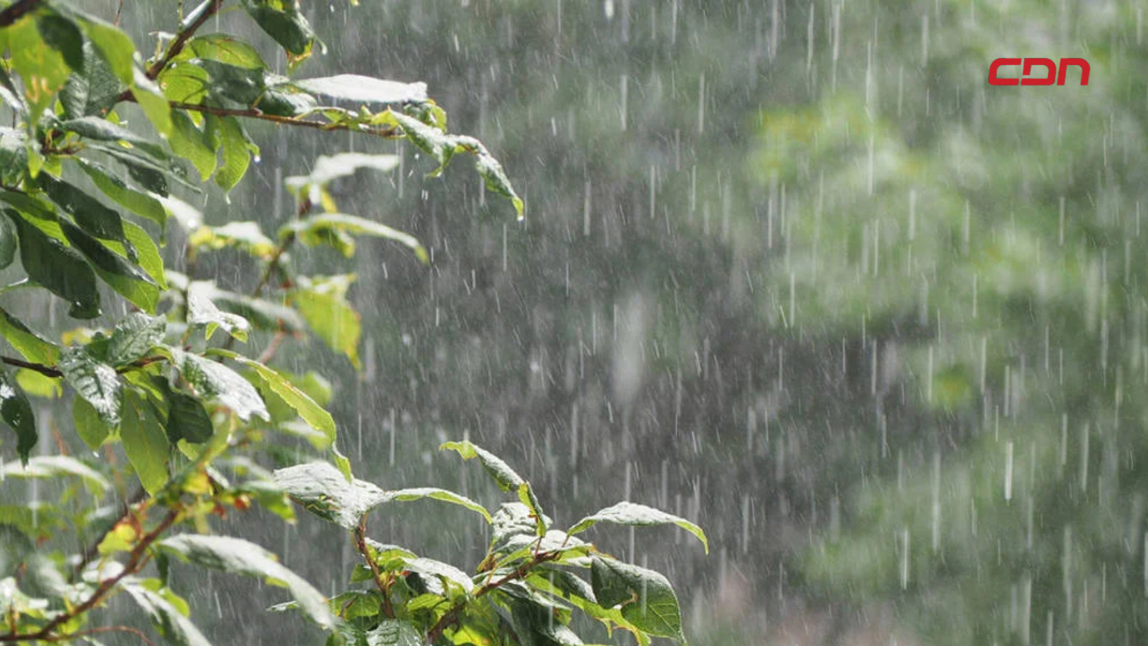 Coe Coloca Nueve Provincias En Alerta Verde Por Vaguada