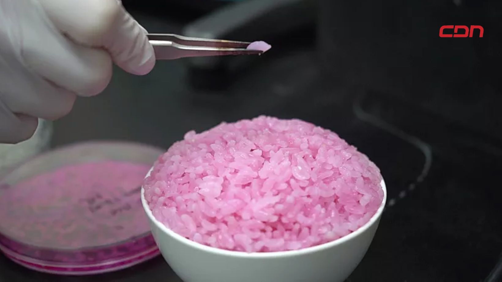 Científicos trabajan en el desarrollo de un arroz rosa