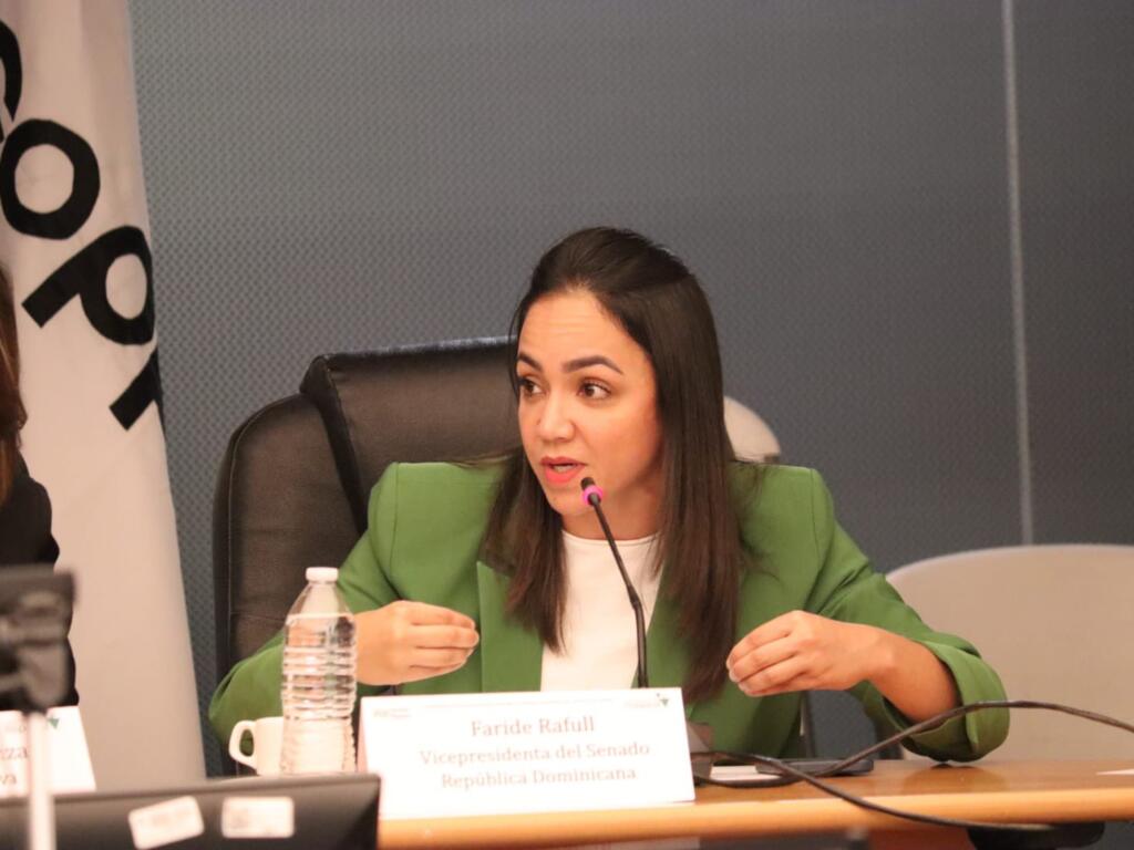 Faride Raful, proyectos de Ley que marcan antes y después