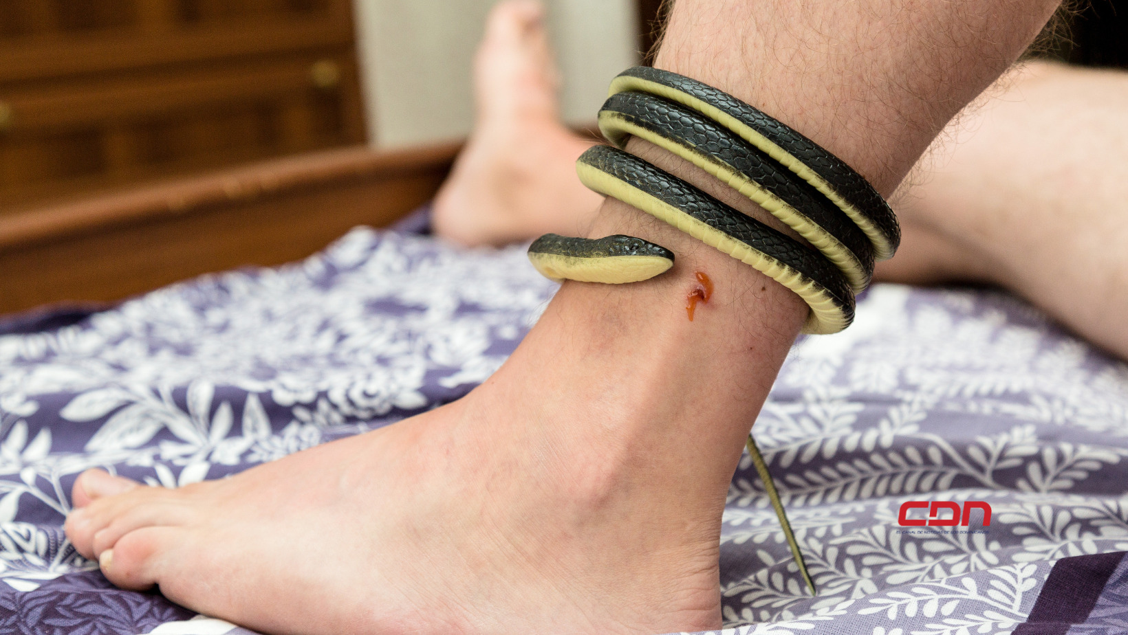 Consejos para-prevenir mordeduras de serpiente