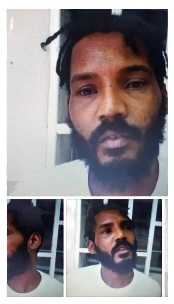 Las bandas armadas de Haití cuentan con dominicanos en sus filas