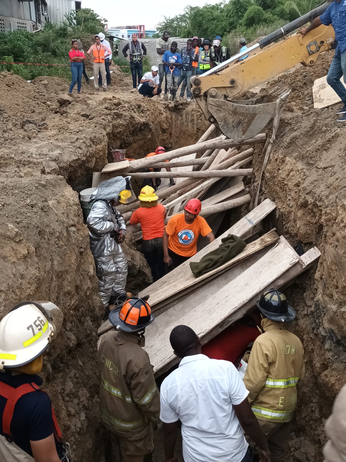 El candongo, una fruta deliciosa - Periódico El Caribe