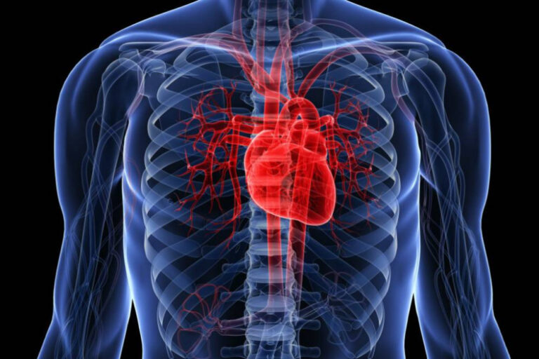 Enfermades Del Corazón Están Subtratadas En Latinoamérica