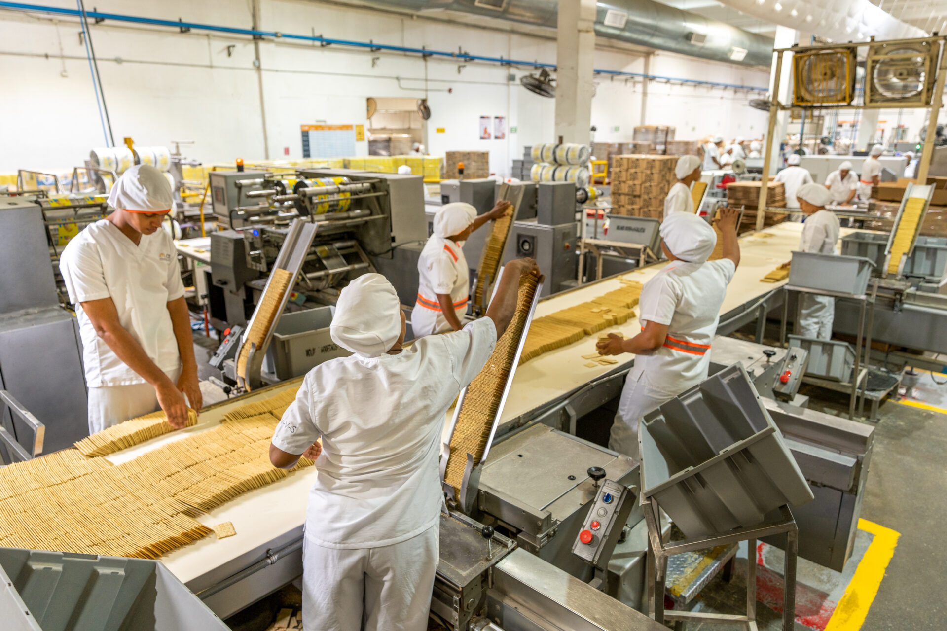 CMI impulsa el desarrollo económico y la seguridad alimentaria de RD