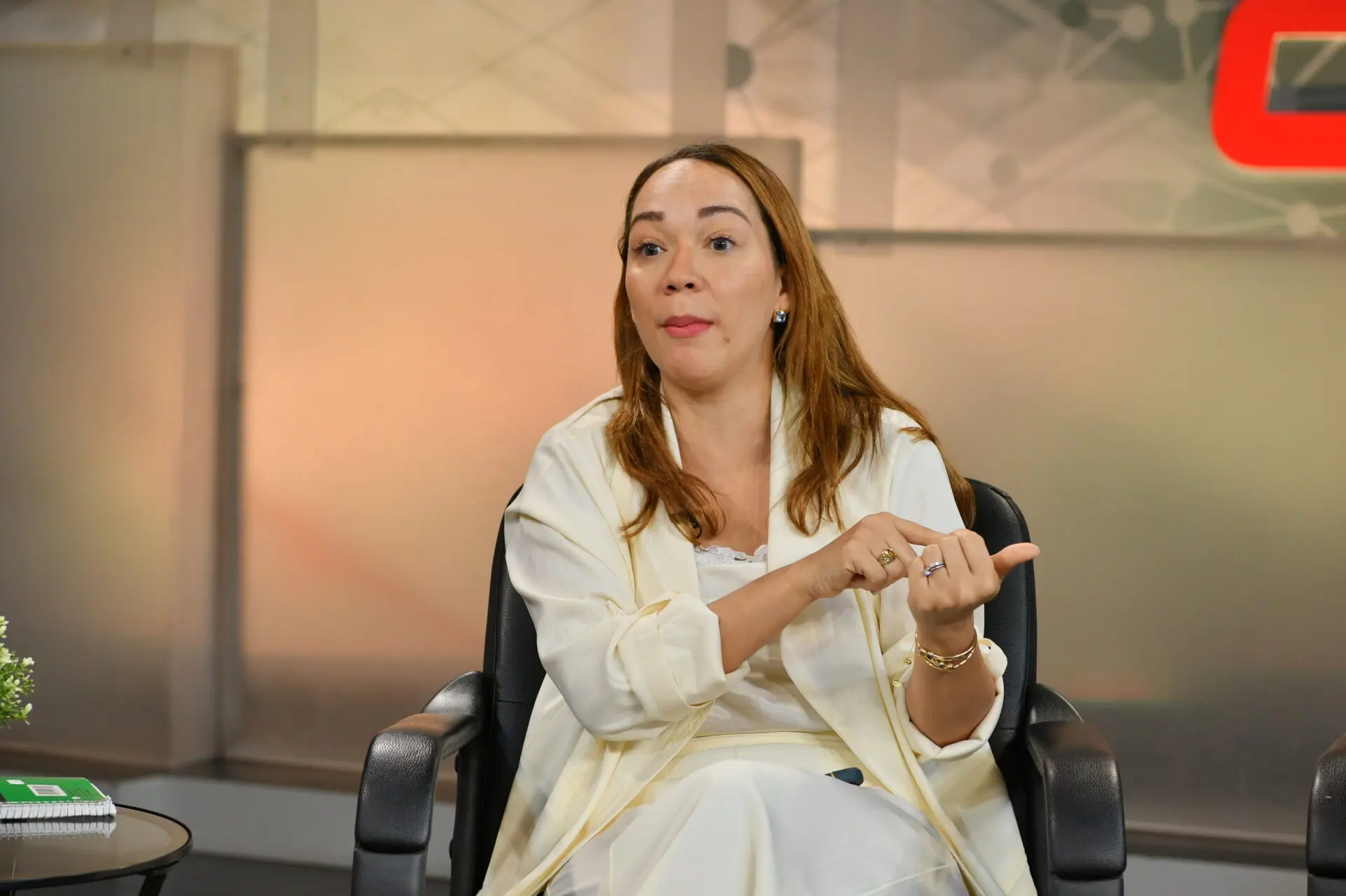 Dice Cámara de Cuentas no entendió la responsabilidad que tenía
