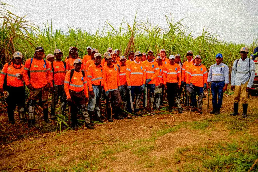 Consorcio CAEI inició la zafra 2023 – 2024 en la que producirá azúcar ...