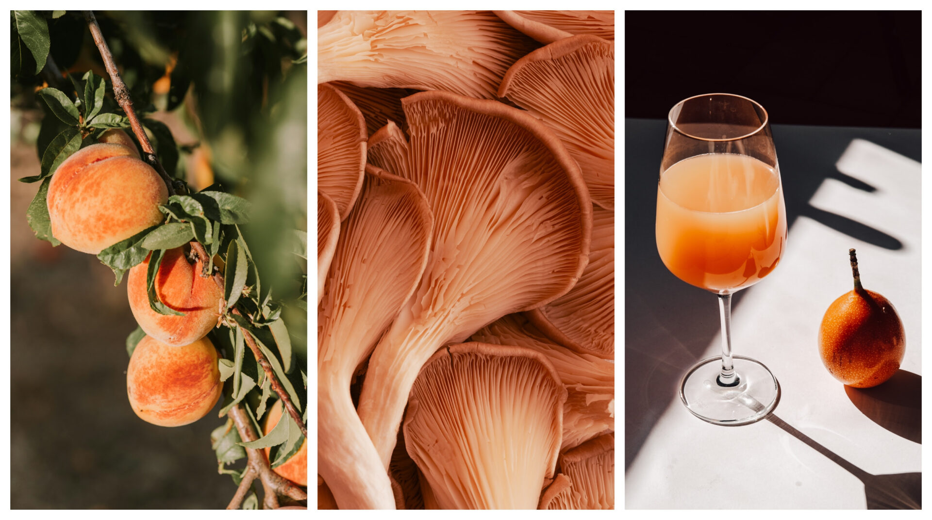 talentchef desvela las 5 claves para integrar el color Pantone del año ...