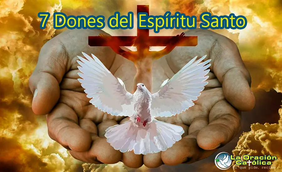 Los siete dones del Espíritu Santo - Periódico elCaribe