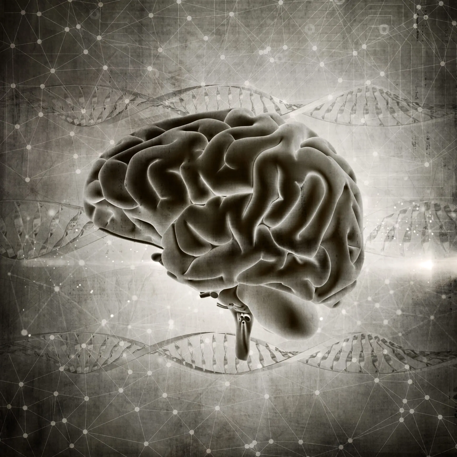 Estudio explica por qué el cerebro reconoce imágenes incluso sin color