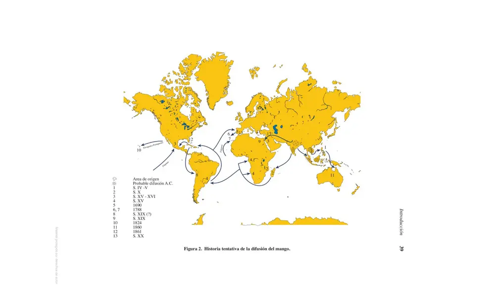 Los orígenes del mango - Periódico elCaribe