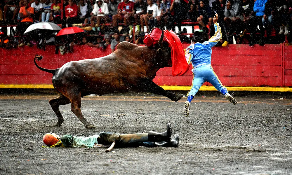 Corrida de toros, una pasión cultural que perdura en El Seibo ...