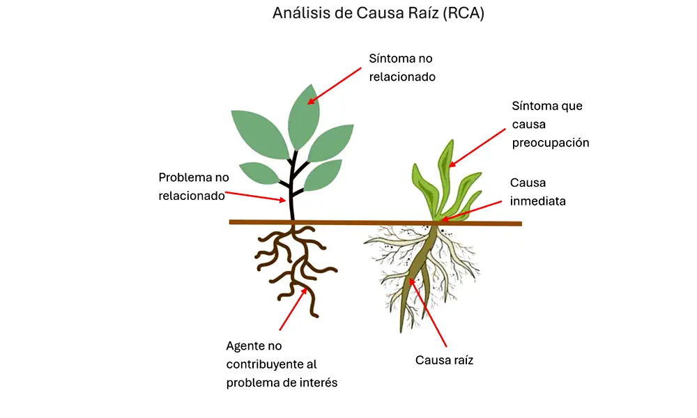 Sobre el colapso del techo del Jet Set. Rigor: palabra clave (1 ...