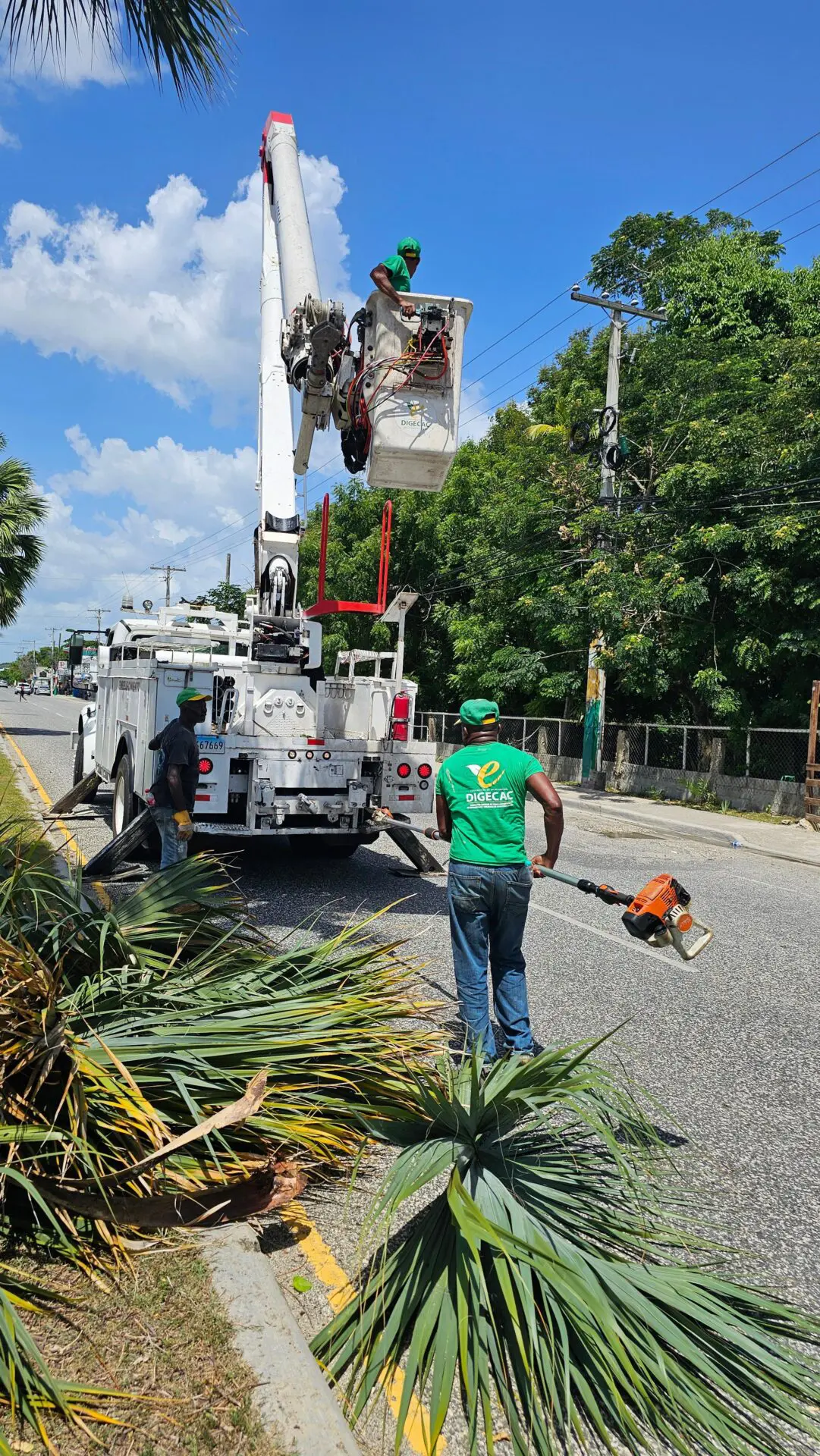 Digecac embellece el Boulevard de Juan Dolio